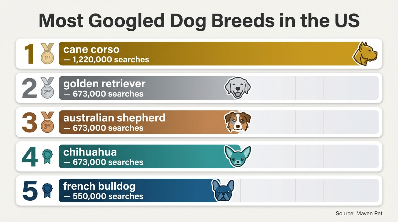 Cane Corso Popularity, Search Trends for Dog Breeds, and Pet Ownership ...